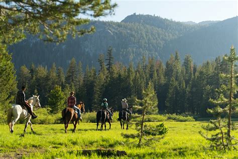 Ultimate Guide To Reds Meadow Visit Mammoth
