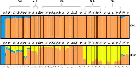 admixture analysis plot showing model based population assignments for