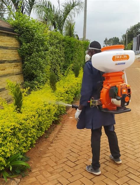 10 Best Pest Control Companies In Kenya Agile Pest Control Services Kenya
