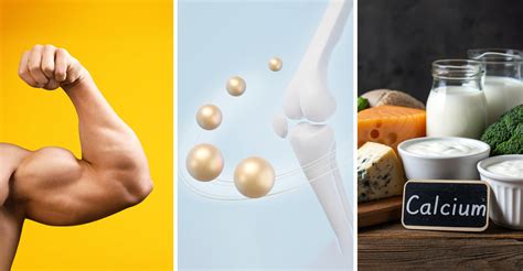 Best Supplements For Bone And Muscle Growth Healthy Concepts With A Nutrition Bias