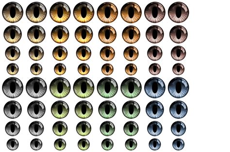 Pin By Rosana On Simplesmente Olhos Eye Color Chart Eyeball Art Eye Stickers