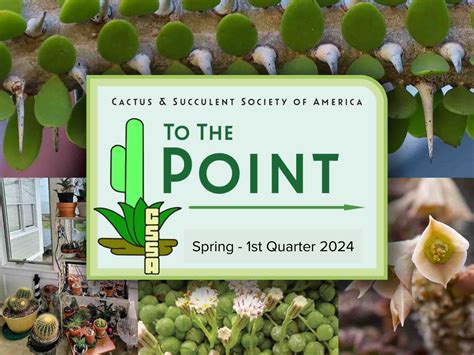 Cactus And Succulent Society Of America Connecting With Desert Plants