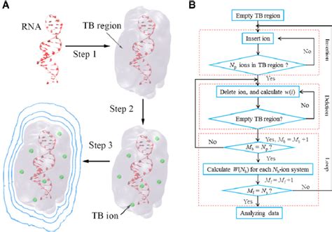 A Three Steps Of The Mctbi Computation The Blue Solid Lines Present Download Scientific