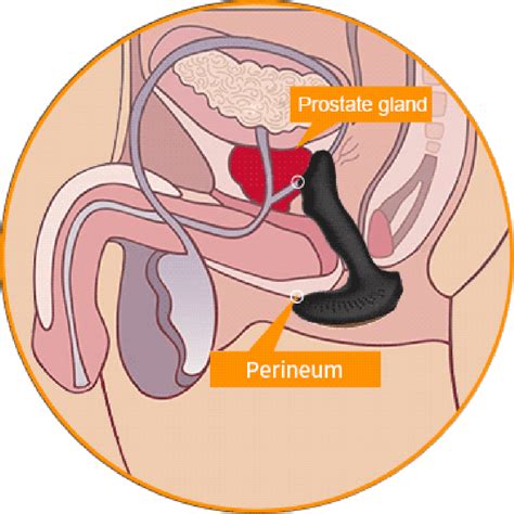 Prostate Orgasm Page 19 Literotica Discussion Board