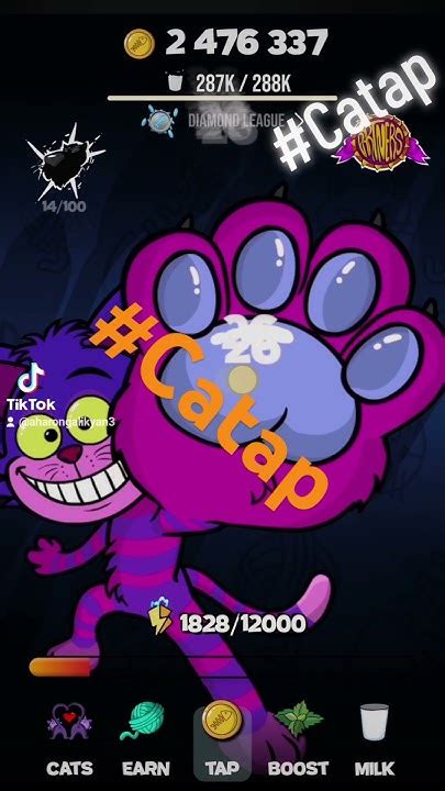 Catap Catap Super Youtube