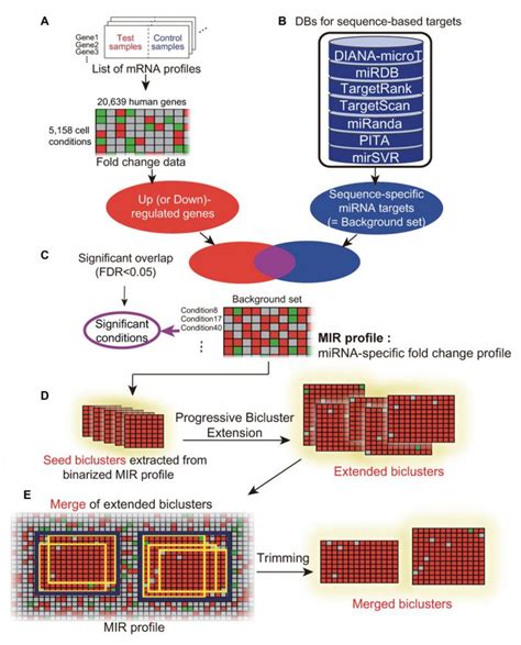 biclustering big data analysis identifies cancer suppressing micrornas