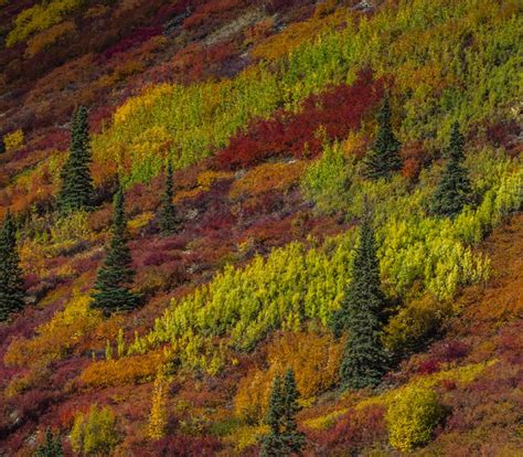 Taiga Landforms