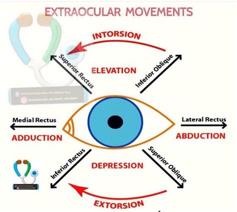 Eye Movement Dysfunction