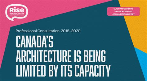 Professional Consultation Report