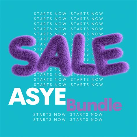 Asye Bundle Reflective Journal Social Work Planner