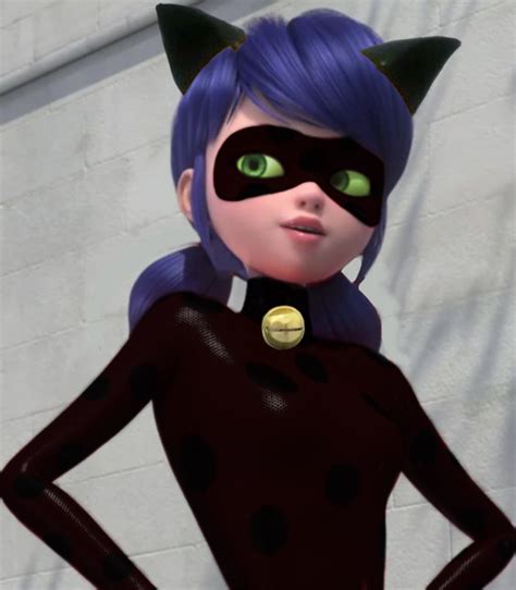 Ladybug And Cat Noir With Reversed Costumes Fandom
