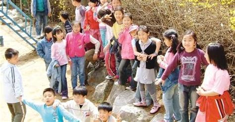 독자 갤러리 개나리 담장 밑에 활짝 핀 어린이들