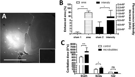 40 Kda Dextran Delivery And Cavitation Detection Using Microbubbles At