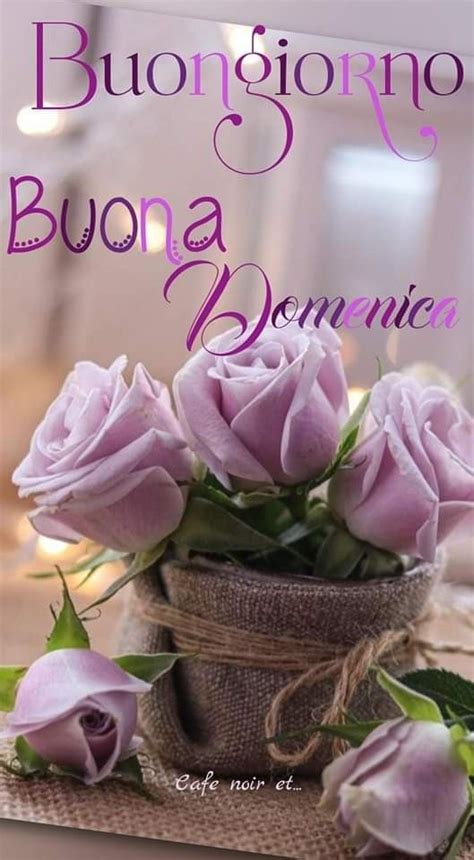 Pin di Filippa Criasia su Buona domenica nel 2023 | Buona domenica ...