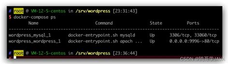 如何docker将多个容器打包成一个镜像开发工具 Csdn问答