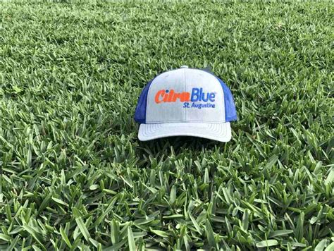 How To Revive St Augustine Grass Bethel Farms