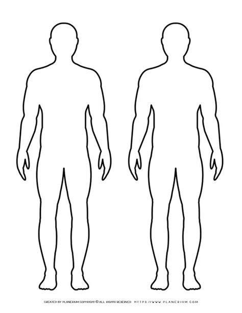 Male Body Outline Two Males Planerium