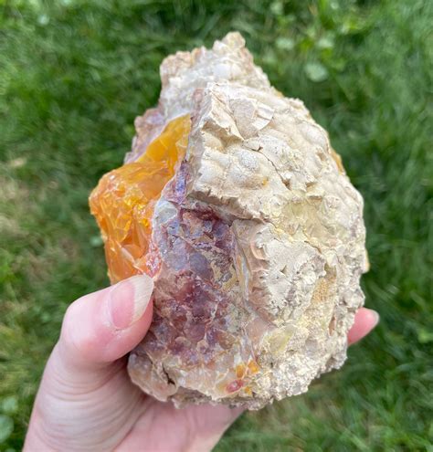 329 Lb Oregon Opal In Rhyolite Jasper Mineral Display Specimen