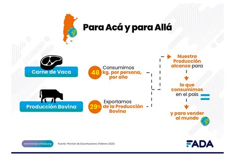 Cierre De Las Exportaciones De Carne Las Pérdidas Ya Se Calculan En