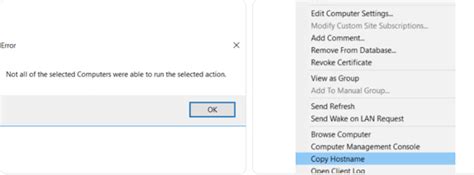 Custom Right Click Computer Menu Not All Of The Selected Computers