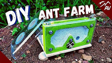 Honey Pot Ant Farm At Samantha Tomlinson Blog