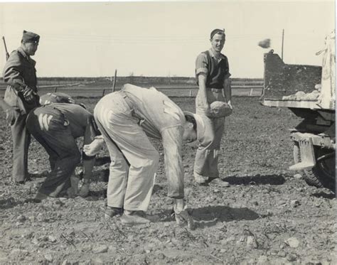 How Wisconsinites And German Pows Built A Separate Peace In Wwii