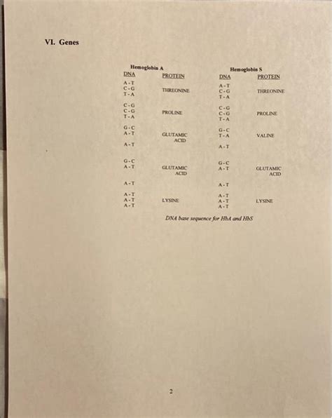 Solved Hemoglobin Is A Protein With Four Polypeptide Chains