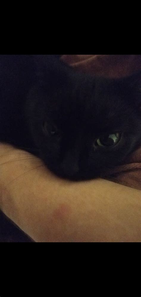 She Bite Me Scrolller