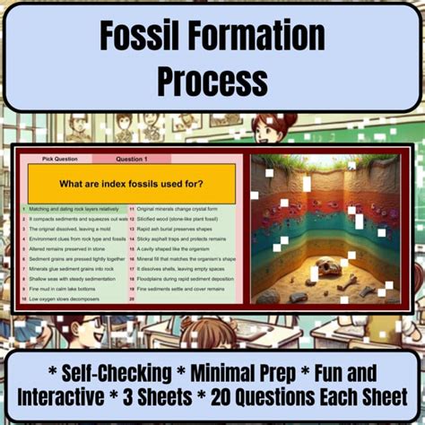 Fossil Formation Process Pixel Art Worksheet P0202 Fun Science Activity
