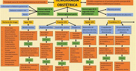 Aprendiendo Ginecología Y Obstetricia