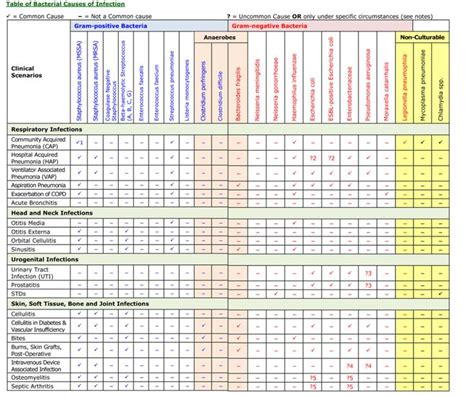 Basic Bacterial Identification Microbiology Teaching Resource