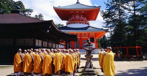 Koyasan Mt Koya Guided Private Walking Day Tour Tokyo Area