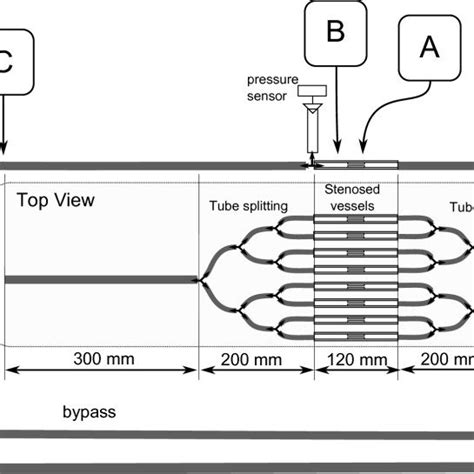 The Flow System Schematic Representation Of The Experimental Setup