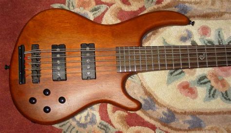 10 String Bass Bridge Octaves