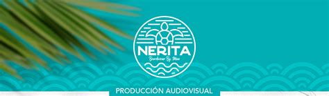 Nerita Insight Brand