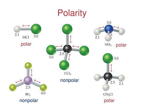 Ppt Chapter 9 Molecular Geometries And Bonding Theories Powerpoint