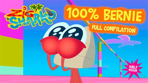 Zig And Sharko Bernie