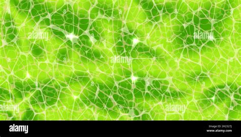 Abstract Green Seamless Pattern Or Plant Cells Texture Under A