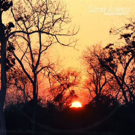 Love Away Anthony Boccaleoni