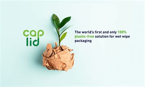 Brand Identity Design For Eco Friendly Products