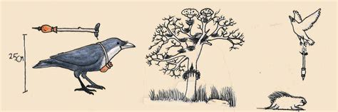 Sapient Crow Novum Terram Wiki Fandom