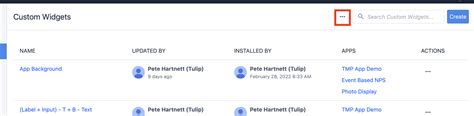 Custom Widgets Overview