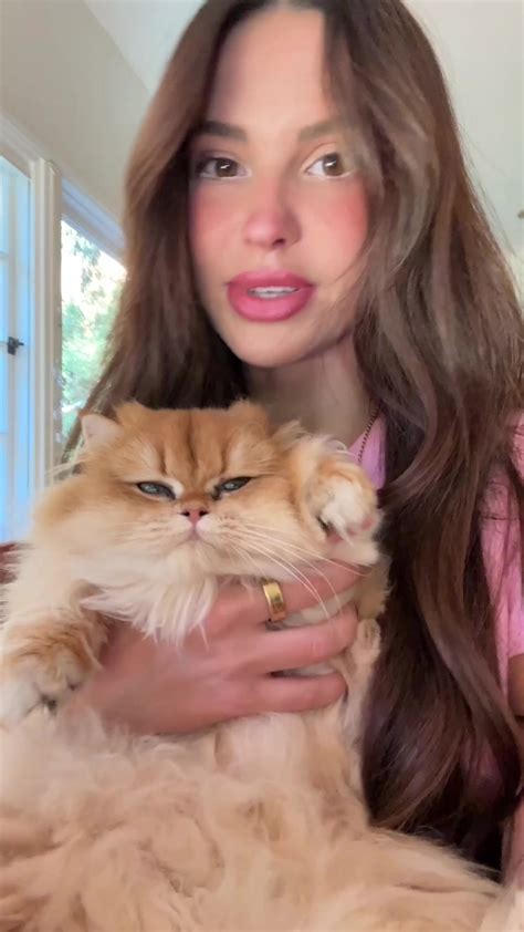 Winnie Takes The Wall Test A Cats Journey Tiktok