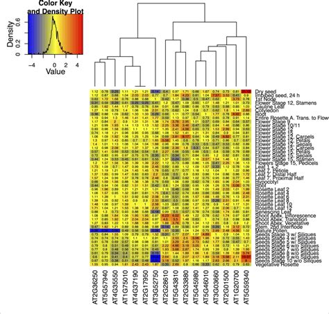 Instant Heat Maps In R How To
