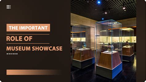 Preserving History Exploring The Core Role Of Museum Display Casesup