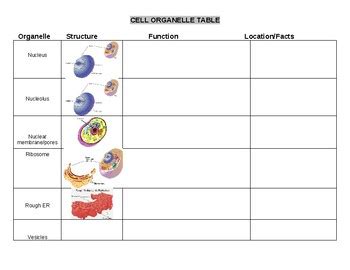 Mrs Poole At School Teaching Resources Teachers Pay Teachers