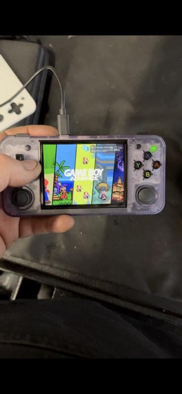 Bactocera Running On The H Rrg35xxh