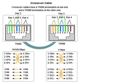 Networking MAKING LAN CONNECTIONS