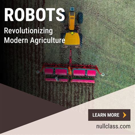 Nullclass Realtimeproject Internship Nullclass