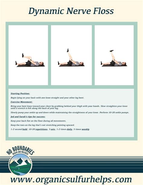 Highlighted Exercise Dynamic Nerve Flossing